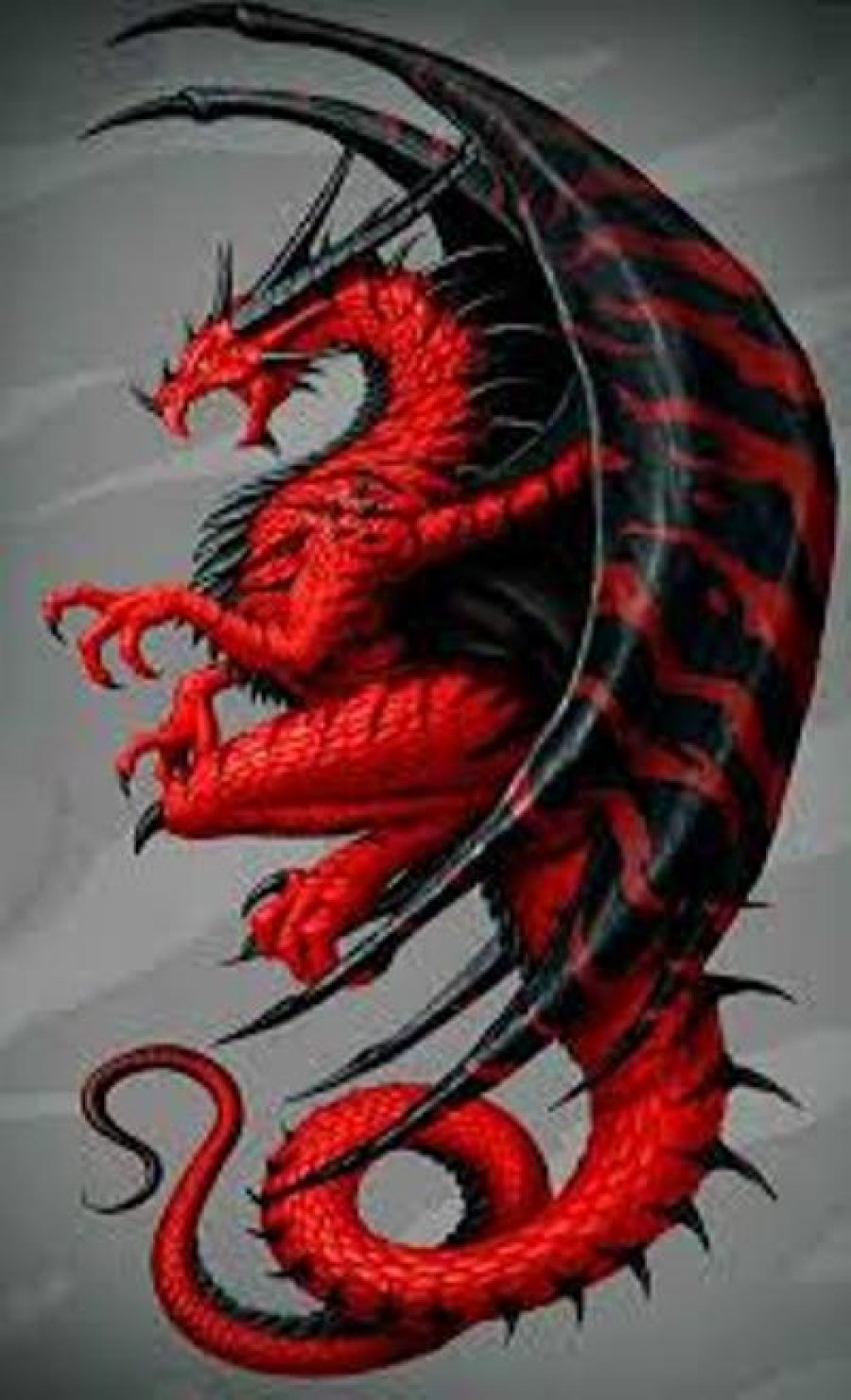 Dragones de los cuatro elementos | El Pucara